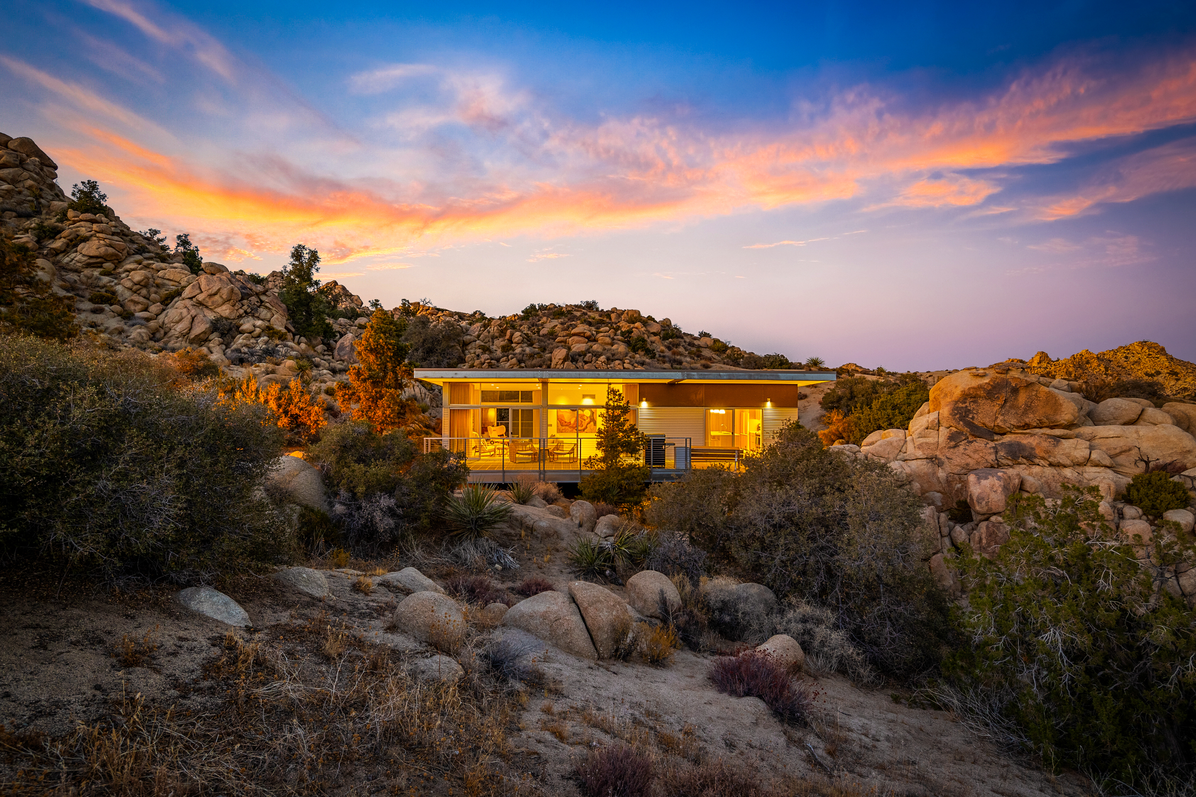 Yucca Valley Sunrise Illegally Move A Joshua Tree, Pay Thousands In